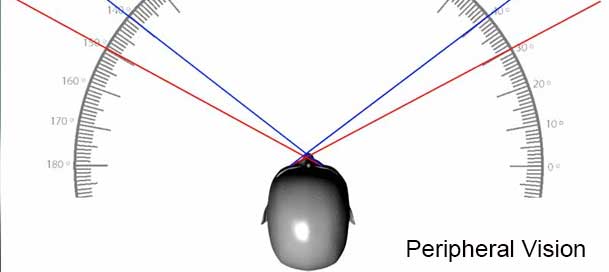 Peripheral Vision Exercise With Contact Lenses Endmyopia Peripheral Vision Exercise With Contact Lenses Endmyopia